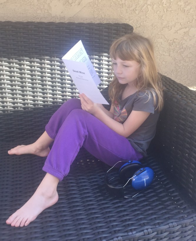 How to Make A Booklet in 33 “Easy” Steps – The Writers in Residence