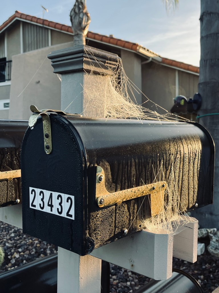 Snail Mail and Literary Correspondence – The Writers in Residence